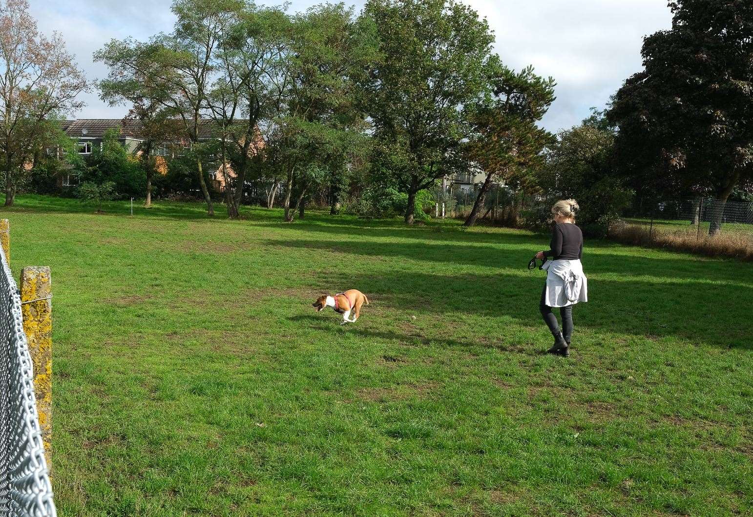 Concern over closure of dog exercise area in Thatcham Concern over closure of dog exercise area in Thatcham